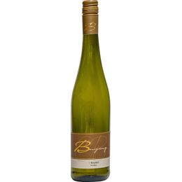 Weingut Boujong Rivaner M&uuml;ller-Thurgau / 2022 Trocken - Mosel &ndash; Wei&szlig;wein Sp&auml;tlese