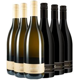 Weingut Lentsch - Pinots vom Leithaberg Goldberg Lagenwein Paket Burgenland &ndash; Probierpaket Qualit&auml;tswein