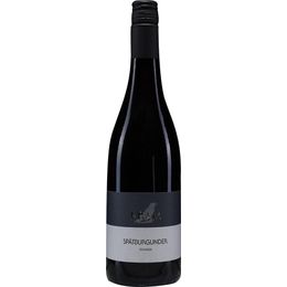Weingut Kram Nordheimer V&ouml;gelein Sp&auml;tburgunder 2021 Trocken - Obereisenheimer H&ouml;ll Franken &ndash; Rotwein Qualit&auml;tswein