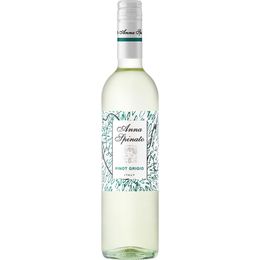 Anna Spinato Winery delle Venezie Pinot Grigio 2023 Trocken - Friuli-Venezia Giulia Venetien &ndash; Wei&szlig;wein DOC