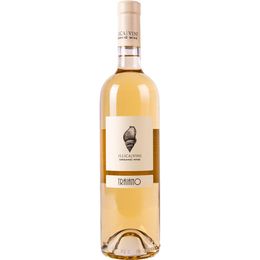 Azienda Vitivinicola Illica Traiano Cuv&eacute;e 2021 Trocken - Emilia Romagna &ndash; Wei&szlig;wein Vino Generico