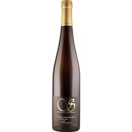Weingut Schneiderfritz "Steingebiss" -R&eacute;serve- Riesling 2020 Trocken - Pfalz &ndash; Wei&szlig;wein Qualit&auml;tswein
