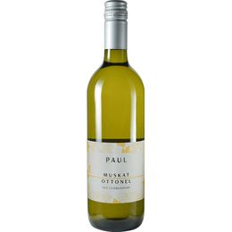 Weingut & Heuriger Paul Muskat Ottonel Muskat-Ottonel 2025 Trocken - Nieder&ouml;sterreich &ndash; Wei&szlig;wein Qualit&auml;tswein