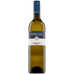 Weingut Axel M&uuml;ller Weingut Axel M&uuml;ller Sauvignon Blanc 2025 Trocken - Rheinhessen &ndash; Wei&szlig;wein Qualit&auml;tswein