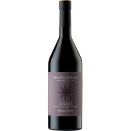 Tenuta Stella Collio Goriziano Pinot Nero 2021 Trocken - Friaul &ndash; Rotwein DOC