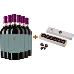 carus Gàudio Chianti Gran Selezione Paket + Geschenk Cuvée 2016 Trocken - Toskana – Probierpaket DOCG
