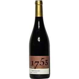 Weingut Schmidt Sp&auml;tburgunder 2023 Trocken - Obermoscheler Langh&ouml;lle Nahe &ndash; Rotwein Qualit&auml;tswein