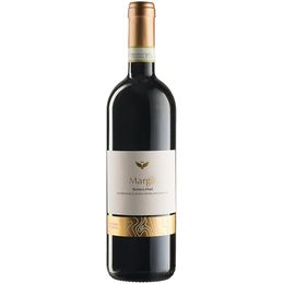 Vini Domanda Marg&agrave; D'Asti Barbera 2023 Trocken - Piemont &ndash; Rotwein DOCG