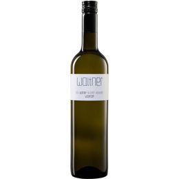 Weingut Gerald Waltner Ried G&ouml;singer Dorner Gr&uuml;ner Veltliner 2025 Trocken - Wagram &ndash; Wei&szlig;wein Qualit&auml;tswein