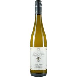 Weingut Dixius Riesling 2019 Feinherb - Mosel &ndash; Wei&szlig;wein Qualit&auml;tswein