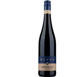 Weinhof Mayer - vom Tonmergel Sp&auml;tburgunder 2021 Trocken Nahe &ndash; Rotwein Qualit&auml;tswein