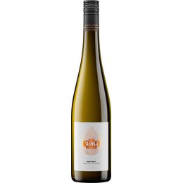 Weingut Jung Dahlen Auftakt | Lagenwein Riesling 2023 Trocken - Erbacher Hohenrain Rheingau &ndash; Wei&szlig;wein Qualit&auml;tswein