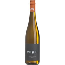 Weingut Engel Albrecht Dalsheimer Bürgel Riesling 2019 Lieblich - Rheinhessen – Weißwein Spätlese