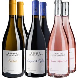 Domaine de Montahuc Kennenlernen-Paket Trocken - Languedoc &ndash; Probierpaket Diverse