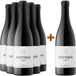 Alicia i Josep Viticultors 5+1 Aktionspaket Tentiber Priorat DOCa Cuv&eacute;e 2019 Trocken - Katalonien &ndash; Probierpaket DOP