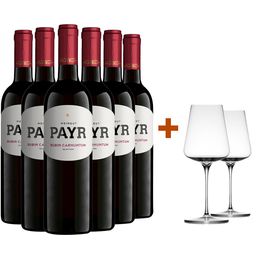 Weingut Payr Rubin Carnuntum DAC &Ouml;TW Gebietswein Bio + 2 GRATIS Weingl&auml;ser von UNO Glassworks Zweigelt 2023 Trocken - &ndash; Probierpaket Qualit&auml;tswein