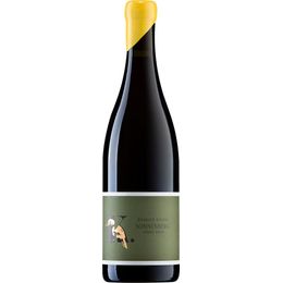 Weingut Kneisel SONNENBERG Pinot Noir Blauer Sp&auml;tburgunder 2019 Trocken - Pfalz &ndash; Rotwein Qualit&auml;tswein