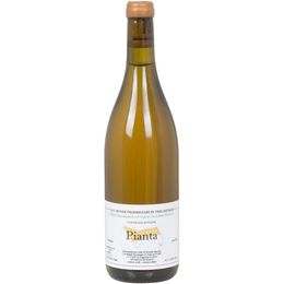 Ciro Alfredo Biondi Pianta Etna Cuv&eacute;e 2021 - Sizilien &ndash; Wei&szlig;wein DOC