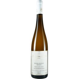 Weingut Schl&ouml;der-Thielen Riesling 2019 Trocken - Mehringer Zellerberg Mosel &ndash; Wei&szlig;wein Sp&auml;tlese