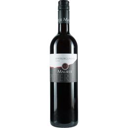 Weingut Maurer Sp&auml;tburgunder 2023 Trocken - Rheinhessen &ndash; Rotwein Qualit&auml;tswein