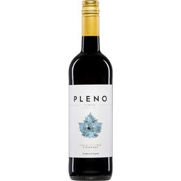 Bodegas Agronavarra Pleno Semi-Dry 3 Riberas VT Tempranillo 2023 Halbtrocken - Navarra &ndash; Rotwein IGP