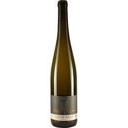 Weingut Tobias Hahn Grünfränkisch 2023 Trocken - Gundersheimer Höllenbrand Rheinhessen – Weißwein Qualitätswein