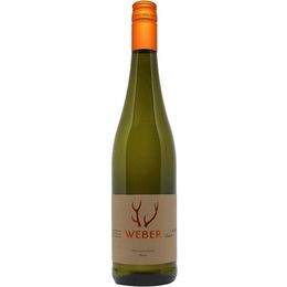 Weingut Weber Sechsender Riesling 2022 Lieblich - Pfalz &ndash; Wei&szlig;wein Kabinett