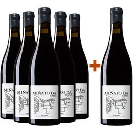 Alberto Nanclares Pack Descuento 5+1 Mi&ntilde;ato da Ra&ntilde;a 2022 Trocken - Galicien &ndash; Probierpaket Vino