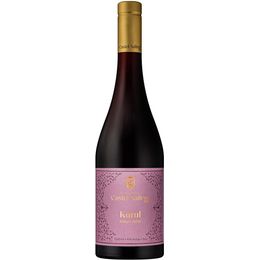 Castel Sallegg Karal Pinot Noir Alto Adige Nero 2020 Trocken - Südtirol – Rotwein DOC