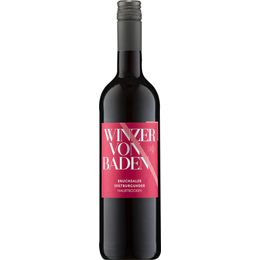 Winzer von Baden Bruchsaler Sp&auml;tburgunder 2022 Halbtrocken - &ndash; Rotwein Qualit&auml;tswein
