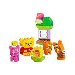 DUPLO Winnie Puuhs Geburtstagsparty in Mehrfarbig ab 18 Monate | Gr.: onesize
