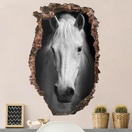 Wandtattoos Dream of a Horse - Wandsticker, Wandaufkleber Kinder Tiere Kinderzimmer Mädchen Mädchenzimmer