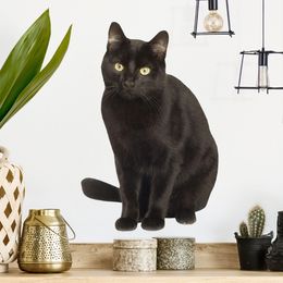 Bilderwelten Wandtattoo Tiere modern selbstklebend Wandaufkleber - Schwarzer Kater - Katze Wohnzimmer Schlafzimmer