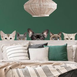 Wandtattoos Katzen mit Hundeblick - Wandsticker, Wandaufkleber Kinder Tiere Kinderzimmer Jungen Jungenzimmer M&auml;dchen M&auml;dchenzimmer Baby Babyzimmer