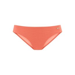 Sunseeker Bikini Bottoms female Orange size 34