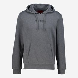 Guess Grauer Kapuzenpullover mit Logo-Detail