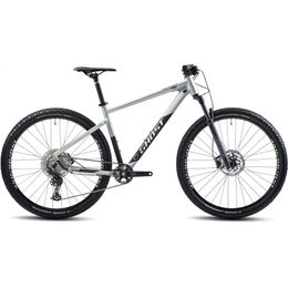 Mountainbike GHOST "Kato Pro AL" Gr. 48, grau (hellgrau, schwarz), Fahrräder, 48cm, 29 Zoll (73,66cm), für Damen und Herren, Kettenschaltung