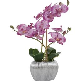Kunstpflanze Home Affaire "Orchidee", lila, B:13cm H:38cm T:6,5cm, Keramik, Kunststoff, Polyester, Kunstpflanzen, Kunstorchidee, im Topf