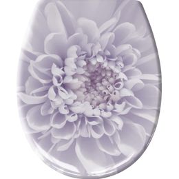 WC-Sitz Kleine Wolke "Dahlia", lila (lvendel), B:37cm H:5cm L:45cm, Duroplast, WC-Sitze