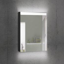 Schneider ARANGA Spiegelschrank, 1 T&uuml;r, 160.452.02.41, ARA 50/1/TW/R
