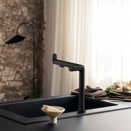 Hansgrohe Aqittura M91 K&uuml;chenarmatur mit Filtersystem, schwenkbar, 76804670,