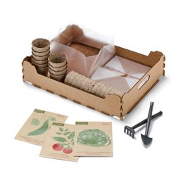 Tchibo - Indoor-Anzucht-Starter-Set - hellgrau