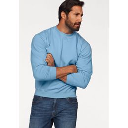 Sweatshirt Fruit of the Loom, Herren, Gr. S (44/46), blau (hellblau), angeraute Sweatware, Obermaterial: 80% Baumwolle, 20% Polyester, unifarben, schmal h&uuml;ftlang, Rundhals, Rippb&uuml;ndchen, Sweatshirts Sweatshirt, im unifarbenen Design