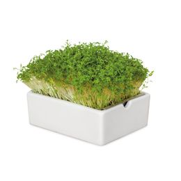 Heimgart Anzuchtset Microgreens