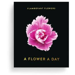 Seltmann Publishers Jahreskalender Flamboyant Flowers