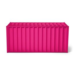 Magazin Container DS RAL 4010 Telemagenta