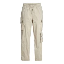 Jack & Jones Jack & Jones Cargo Pants 'Karl' male Grey size S