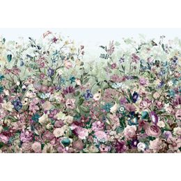 Vliestapete Komar "Vlies - Botanica - Gr&ouml;&szlig;e 368 x 248 cm", bunt, B:368m L:248m, Vlies, Tapeten, Wohnzimmer, Schlafzimmer