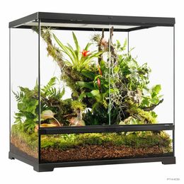 EXO TERRA Pro Terrarium Medium 60x45x60 cm