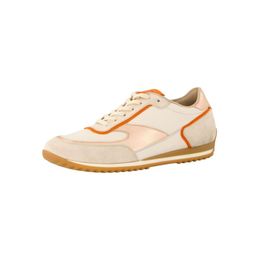 Paul Green Sneaker in Beige/Weiß | Gr.: 38